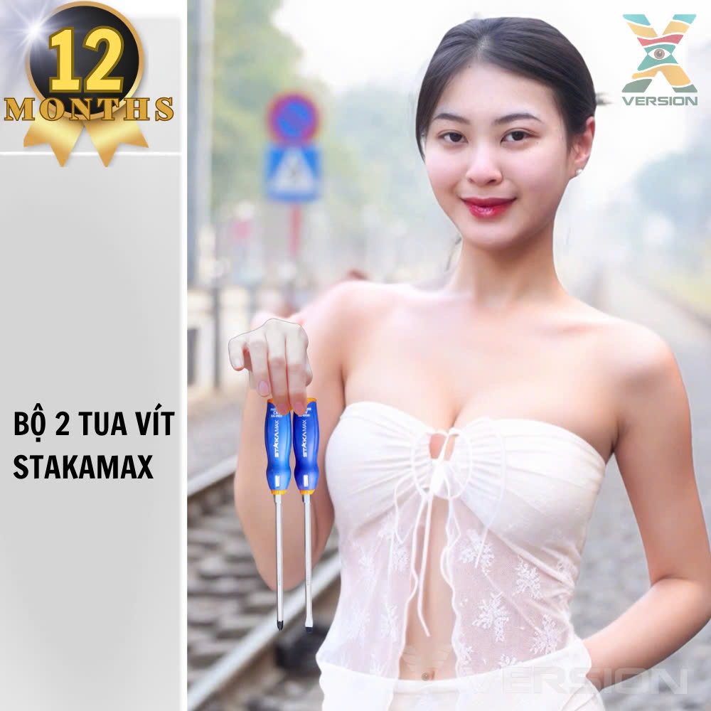 Bộ 2 tua vít đóng staka max ( gồm 1 tua vít 4 cạnh và 1 tua vít 2 cạnh 6 ly ) | Shopee Việt Nam