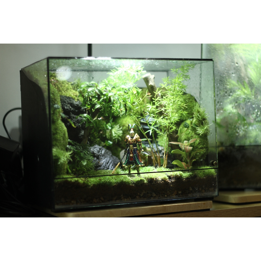 Bể terrarium Black myth wukong | Shopee Việt Nam