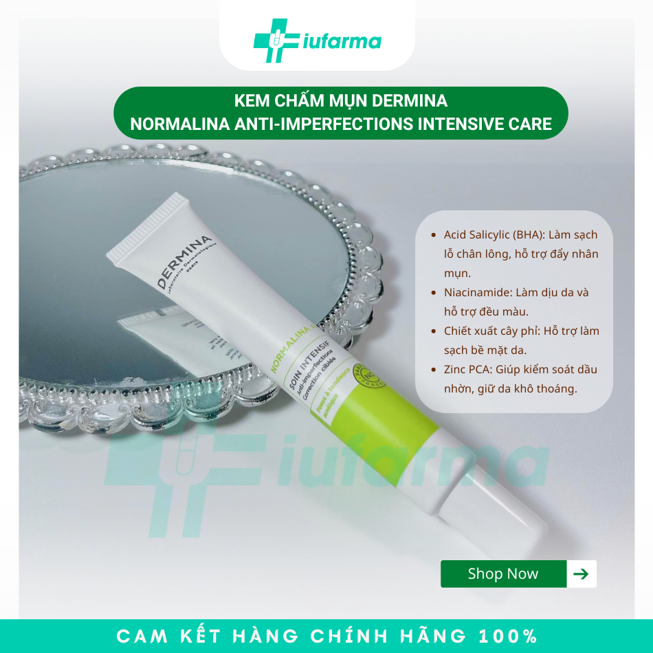[CÔNG TY] Kem Chấm Giảm Mụn Dermina Normalina Anti-Imperfections ...