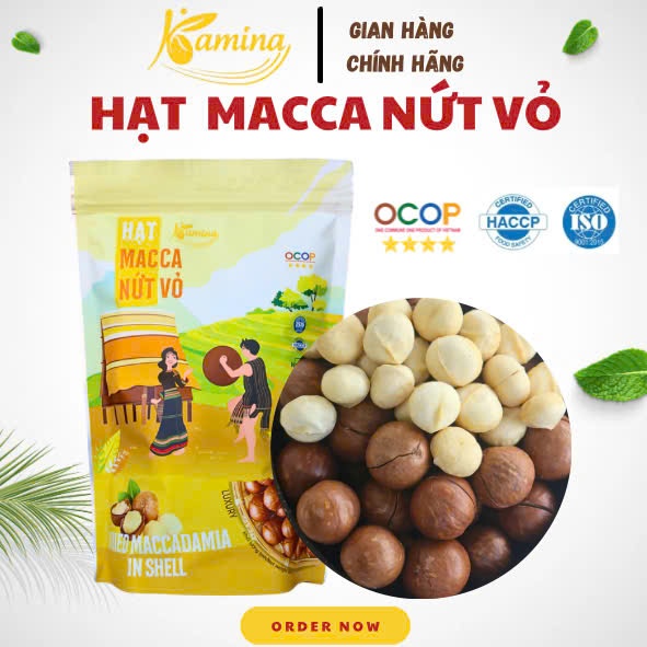 Hạt macca Đắk Lắk 500 Gram LOẠI 1 Kamina Store, hạt macadamia to tròn ...
