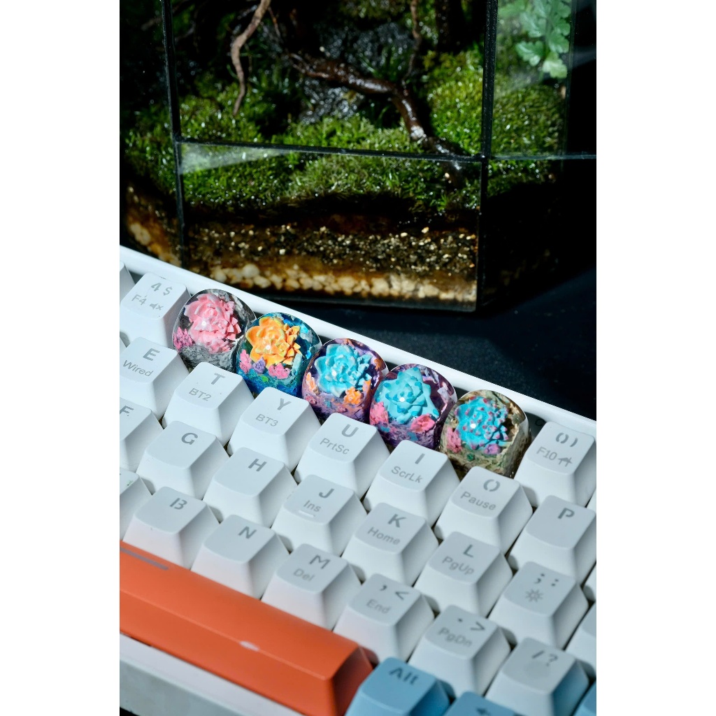 Terrarium of Doom Keycaps | Shopee Việt Nam