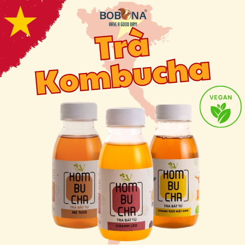 TRÀ KOMBUCHA LIGHT - 250ML | Shopee Việt Nam