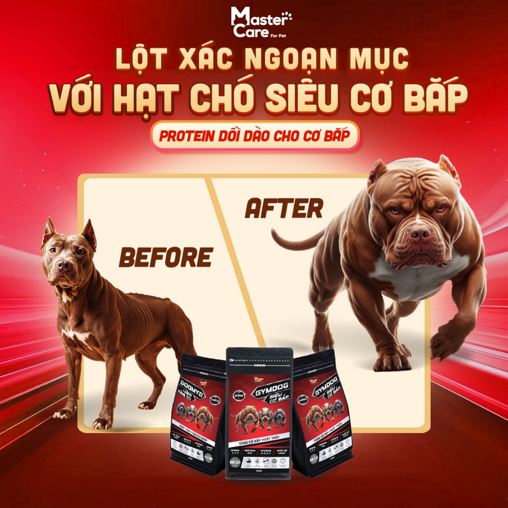 Hạt Tăng Cơ Bắp Cho Bully, Pug, Bull, Becgie - Siêu Dinh Dưỡng, Thơm ...