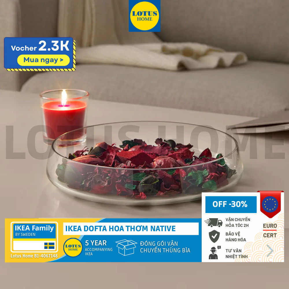 IKEA hoa khô thơm nhà IKEA DOFTA hương thơm thực vật, hoa nhân tạo ...