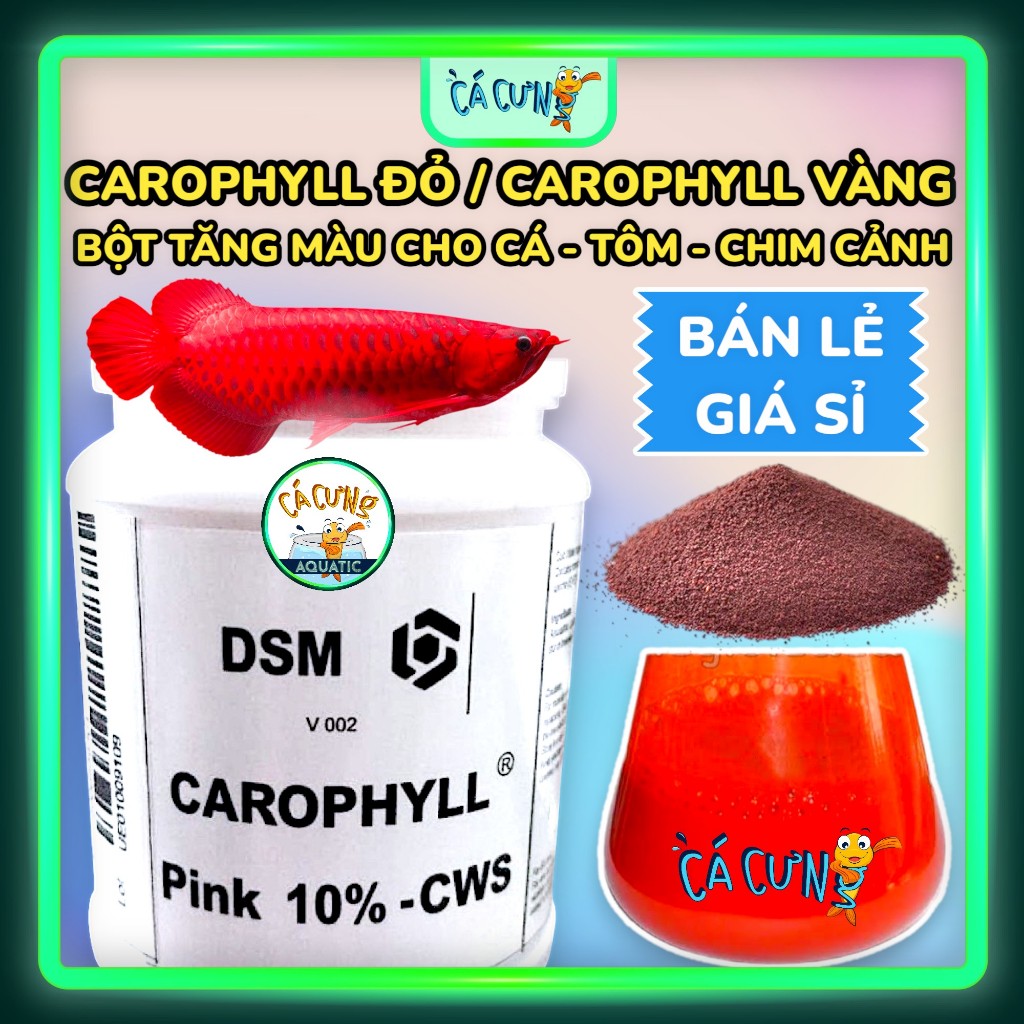 Bột kích màu Carophyll Đỏ / Carophyll Vàng - Carophyll trộn tim bò ...