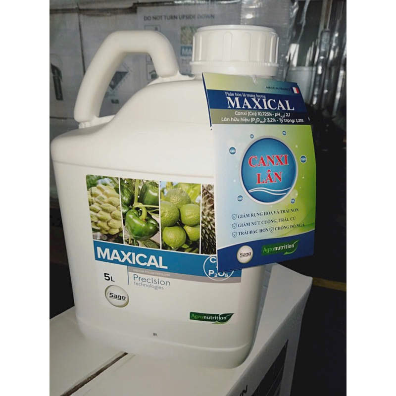 Can 5 lít Maxical Sago | Shopee Việt Nam