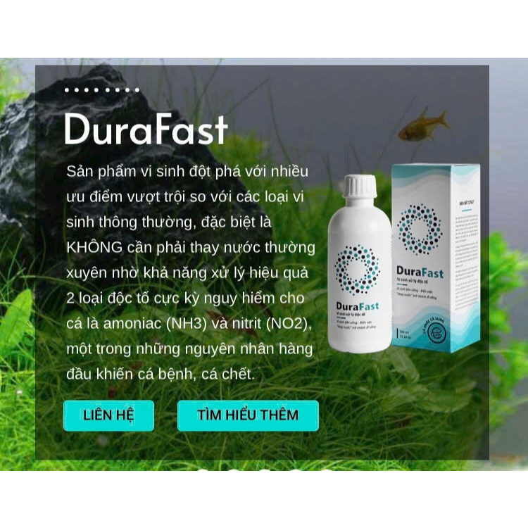 EcoTrace (Khoáng Cao Cấp), DuraFast (Vi Sinh Trong Nước) Cho Bể Cá Cảnh ...