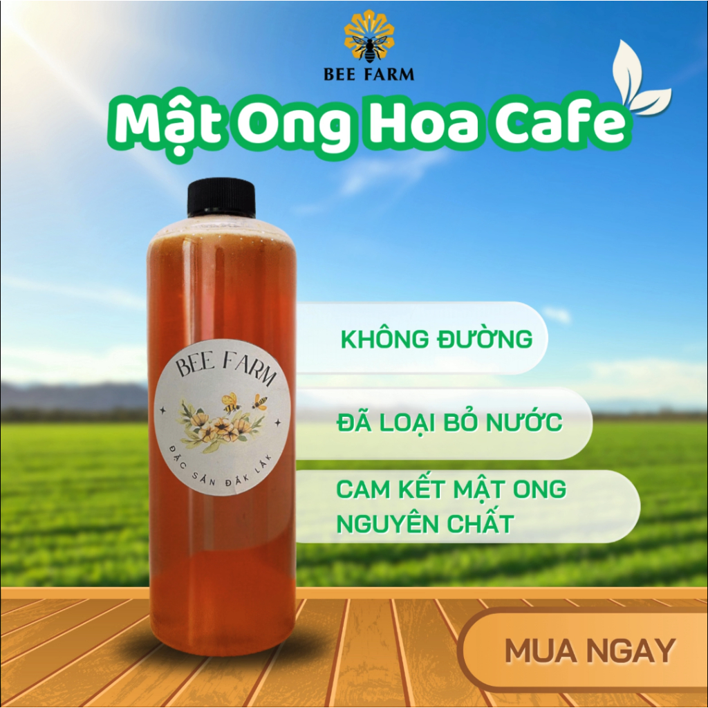 Mật Ong Hoa Cafe 1000mL Thơm Ngon Nguyên Chất Xuất Xứ Từ Đắk Lắk | Shopee Việt Nam