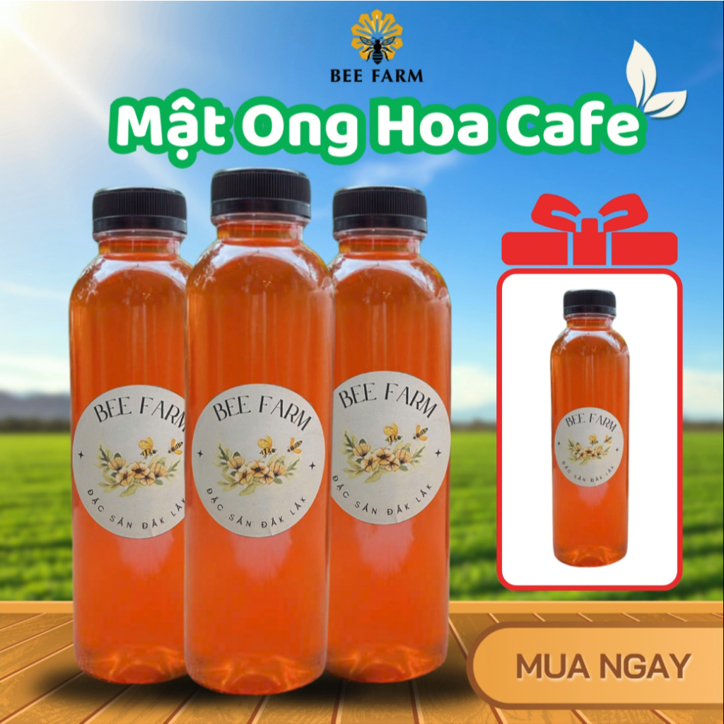 [Tặng 1 Chai 500mL] Combo 3 Chai Mật Ong Hoa Cafe 500mL | Shopee Việt Nam