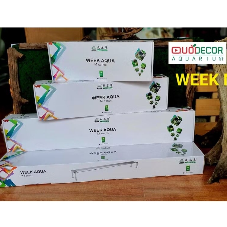 Đèn Week M900 pro | M800 pro | Week raptor pro M900 / M800D PRO | Đèn ...