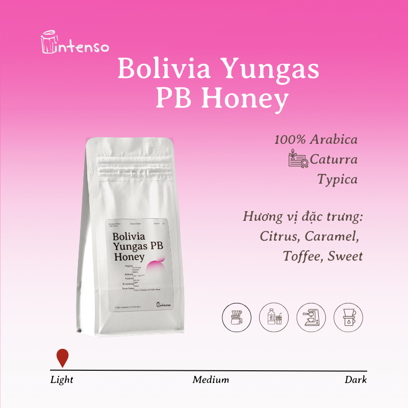 (Gói 50g) Cà Phê Rang Sáng - BOLIVIA YUNGAS PEABERRY HONEY - Intenso Coffee Roasters | Shopee ...