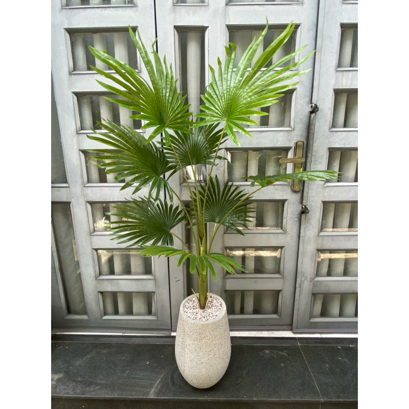 Cây cọ giả | Shopee Việt Nam