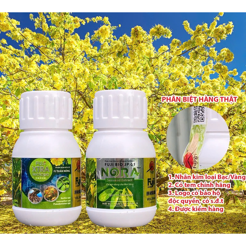 Cặp Phân Bón Mai Vàng 50ml: H.ồi S.inh,Bung Rễ Cám Cực Mạnh,Ngừa R.ệp S.áp & T.uyết Tr.ùng-Nâ.m ...