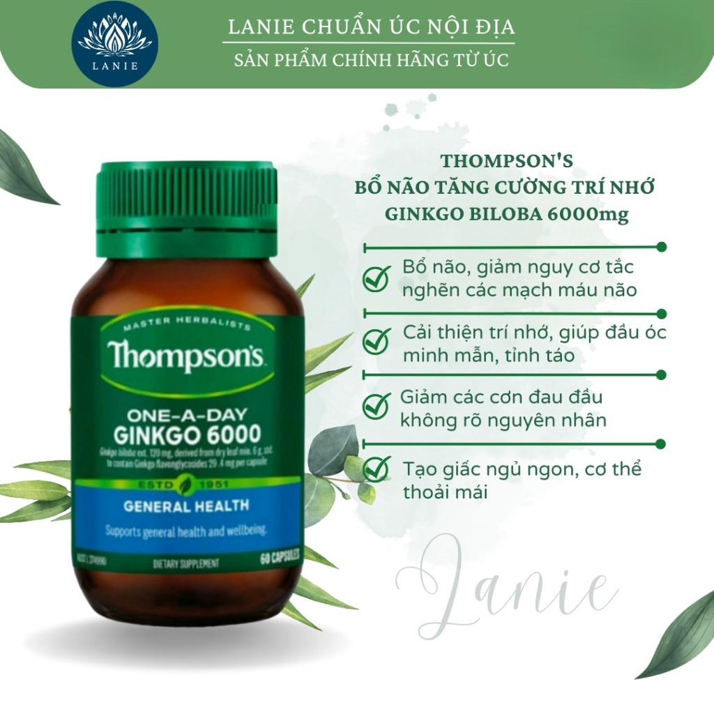 [2028] Bổ não tăng cường trí nhớ Thompson Ginkgo Biloba 6000mg | Shopee ...