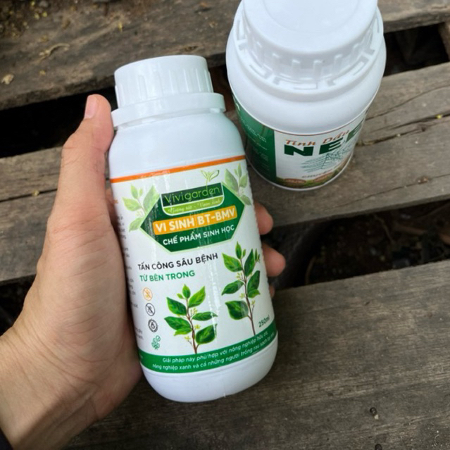 Chai 250ml BT-BMV phòng trừ sâu xanh, sâu khoang các loại nhờ hệ nấm có ...