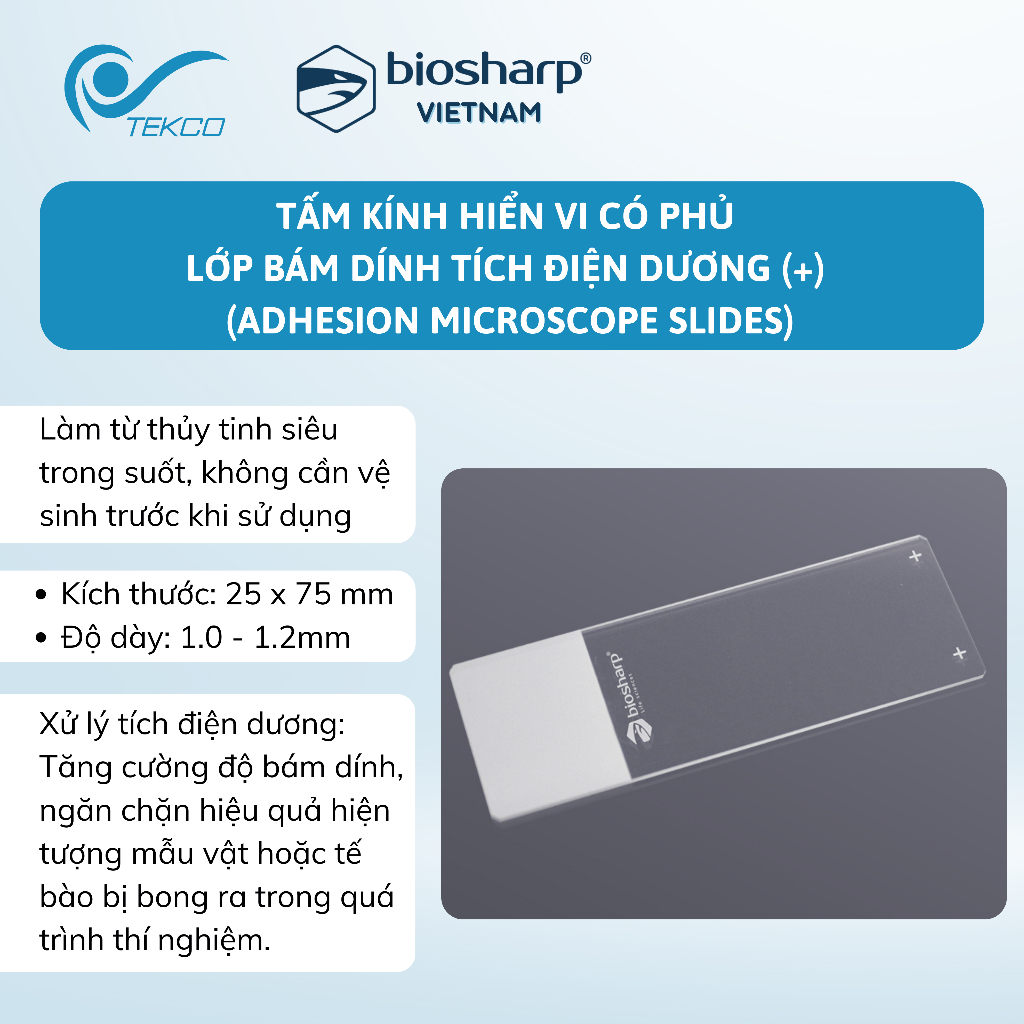 Tấm kính hiển vi có phủ lớp bám dính tích điện + (Adhesion microscope slides), hộp 50 tấm ...