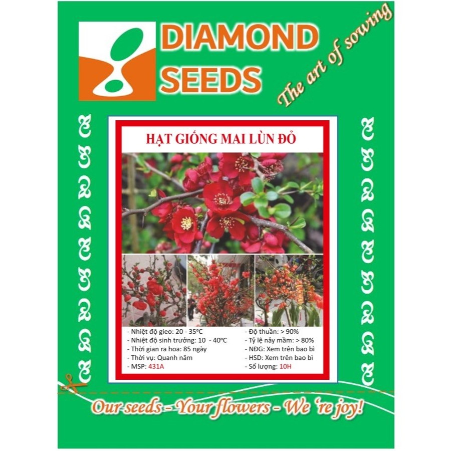 Hạt giống hoa mai trung quốc hoa màu đỏ 10 hạt - HÀNG CÔNG TY | Shopee ...