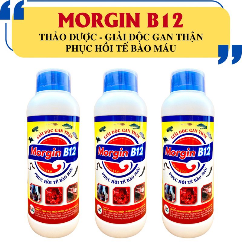 MORGIN B12 - THẢO DƯỢC KHỐNG CHẾ GAN THẬN MỦ, GIẢI ĐỘC CHO CÁ, ẾCH, LƯƠN, BABA | Shopee Việt Nam