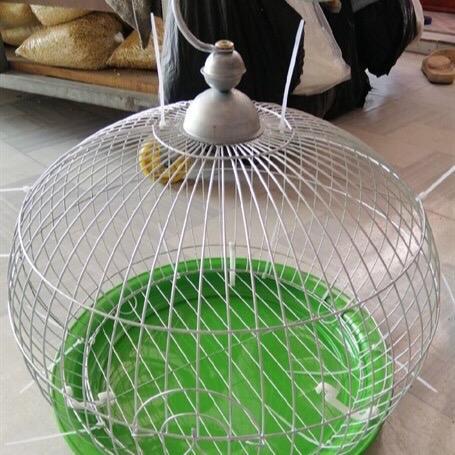 Lòng chim cu bí lớn lắp ráp | Shopee Việt Nam