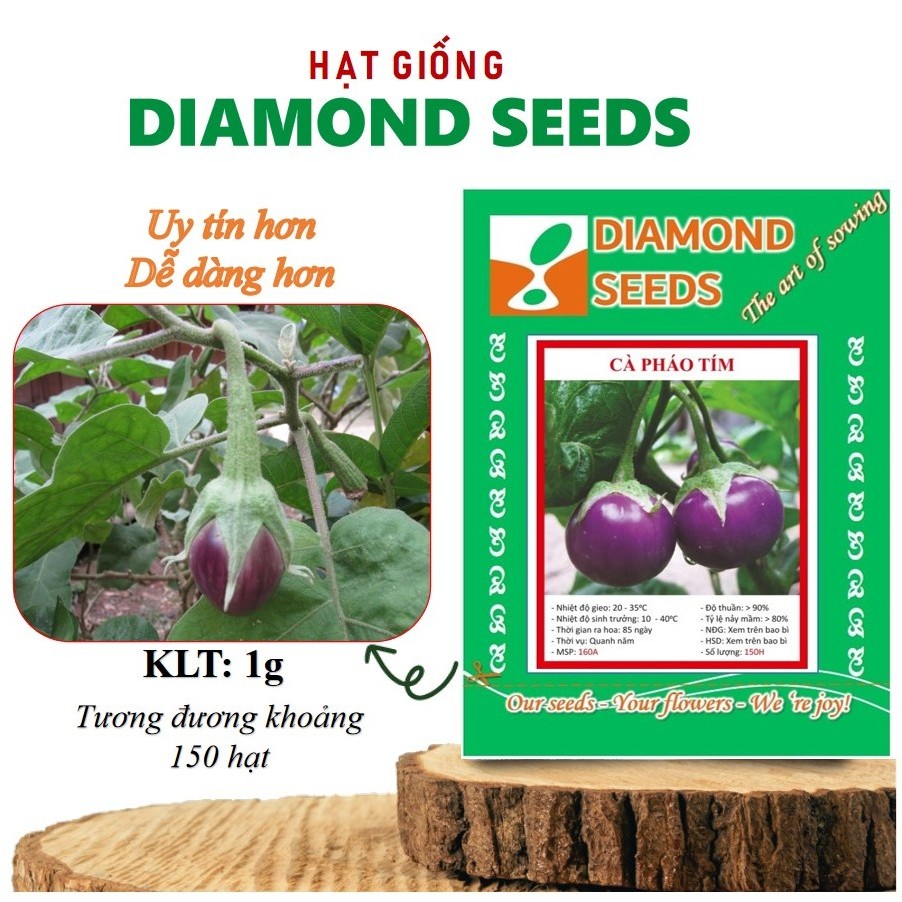 [HÀNG CHÍNH HÃNG] 1GR - HẠT GIỐNG CÀ PHÁO TÍM | Shopee Việt Nam