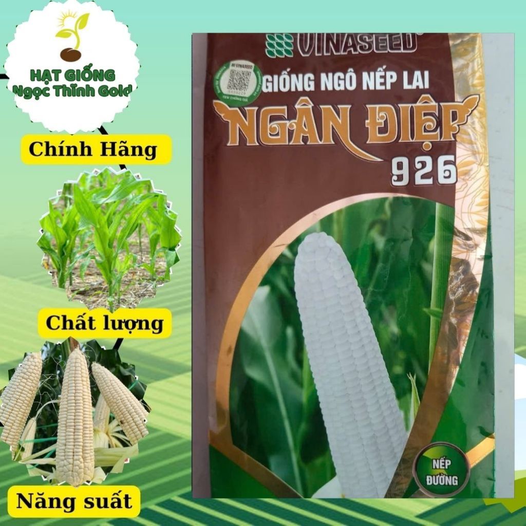 HẠT GIỐNG NGÔ NẾP LAI NGÂN ĐIỆP 926 (500G) bắp trắng dẻo ngọt, năng ...