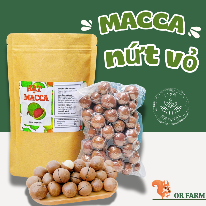 500g Hạt Macca Organic Kbang Gia Lai giàu dinh dưỡng nhà trồng, hạt sấy ...