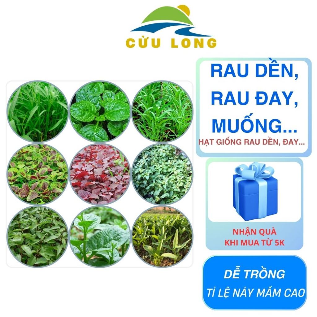 [Combo] Hạt Giống Rau Ăn Lá: Rau Muống - Rau Dền - Rau Đay - Mồng Tơi ...