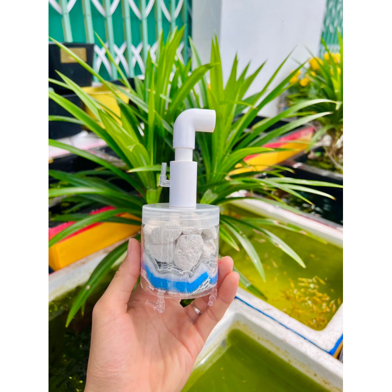 Lọc BIO mini dùng với máy sủi oxy (bao gồm vật liệu lọc). Phù hợp nuôi tép với cá con- Dung tích ...