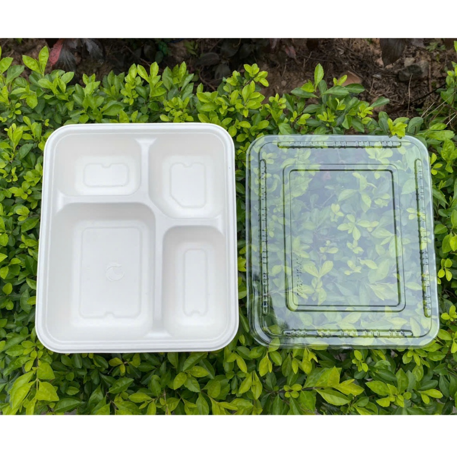 Set 50 Hộp (khay) bã mía 4 ngăn kèm nắp nhựa trong dùng một lần size to ...