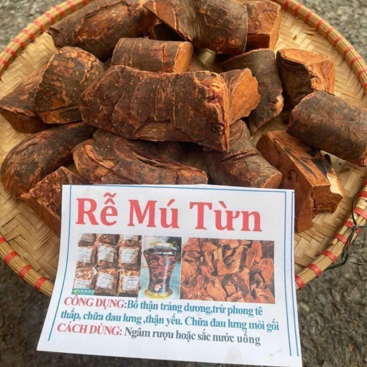 1Kg Rễ cây mú từn khô ngâm ruou từ rễ mú từn tươi rừng tự nhiên Tây Bắc ...