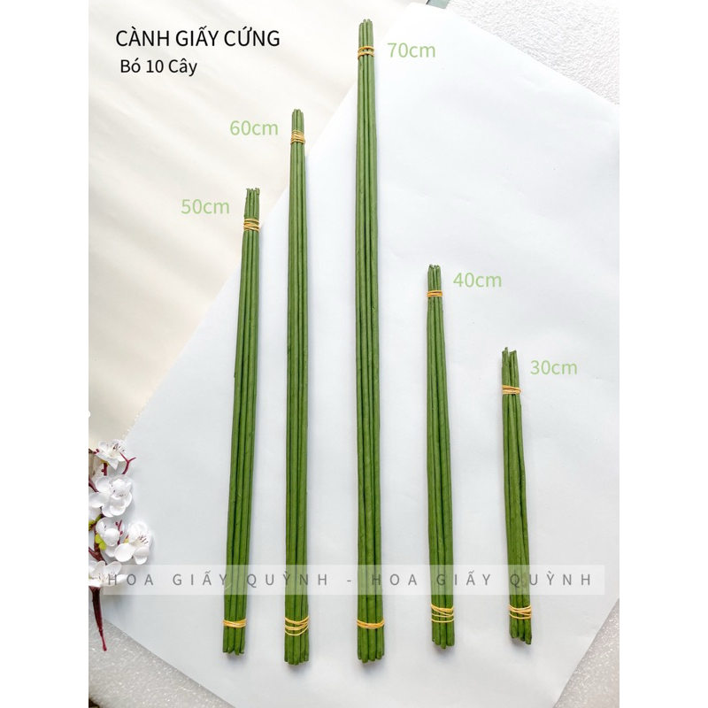 CÀNH GIẤY CỨNG 30cm/ 40cm/ 50CM / 60CM/70cm - BÓ 10 CÂY | Shopee Việt Nam