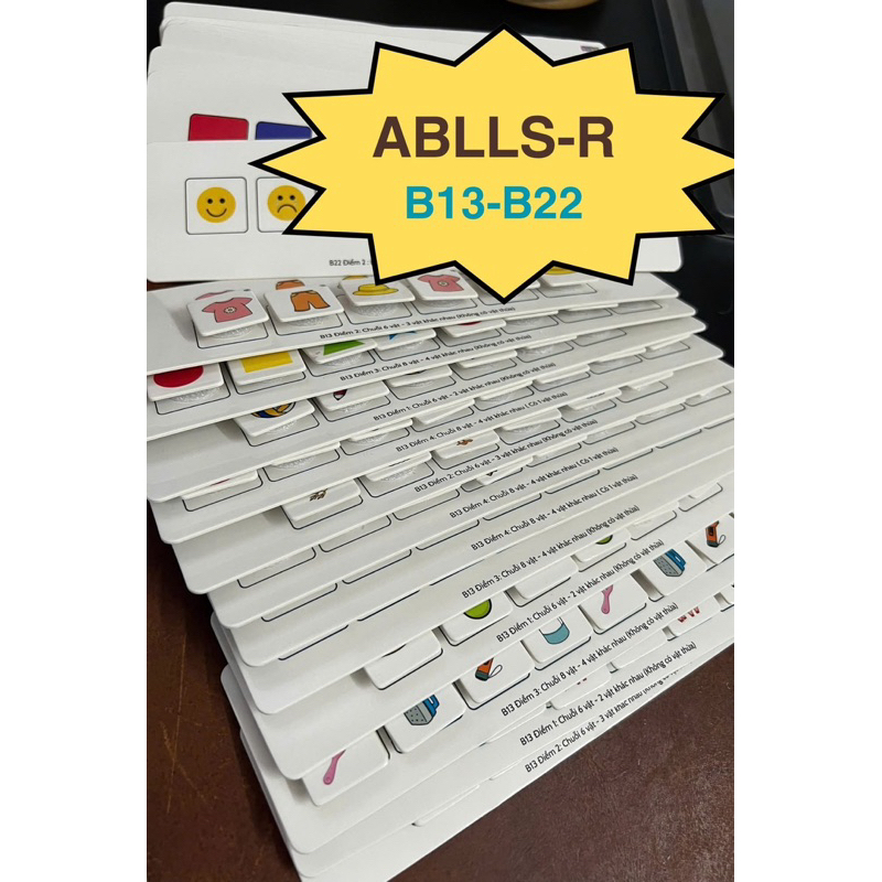 [ChanBook] 🍭 BỘ HỌC LIỆU SẮP XẾP THEO QUY LUẬT ABLLS-R B13 B22 | Shopee ...