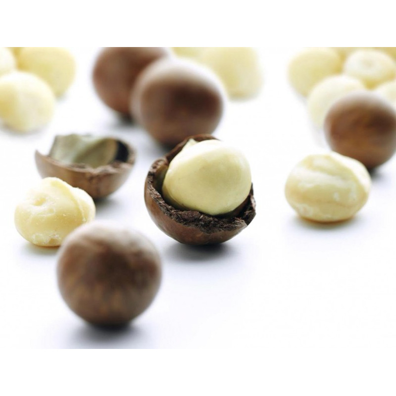 500g Macadamia nứt vỏ Đắk Lắc Việt Nam size to nhân trắng thơm | Shopee ...