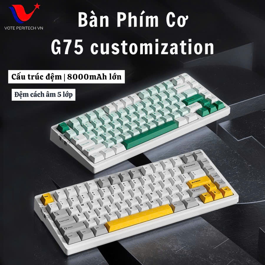 BÀN PHÍM CƠ KHÔNG DÂY Mchose G75/75Pro - 3 Model | Leg RGC | Full Foam | Gasket Mount | Mạch ...