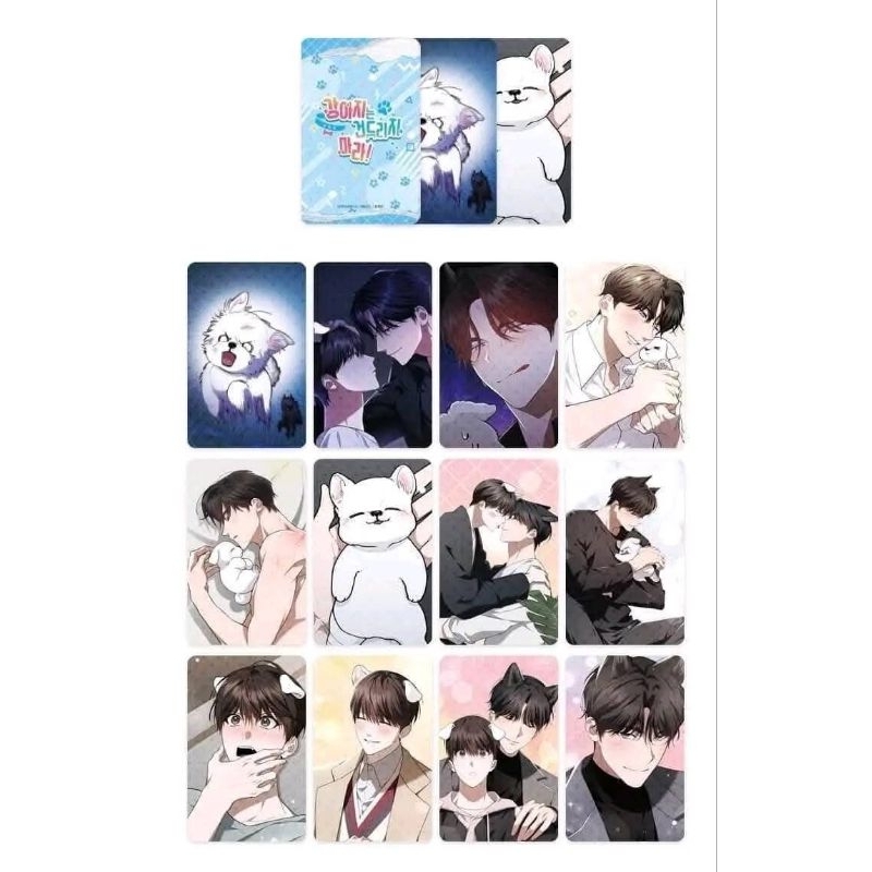 | TNJ | Card boylove official bộ truyện NO TOUCH THE DOG - 강아지는건드리지마라 ...