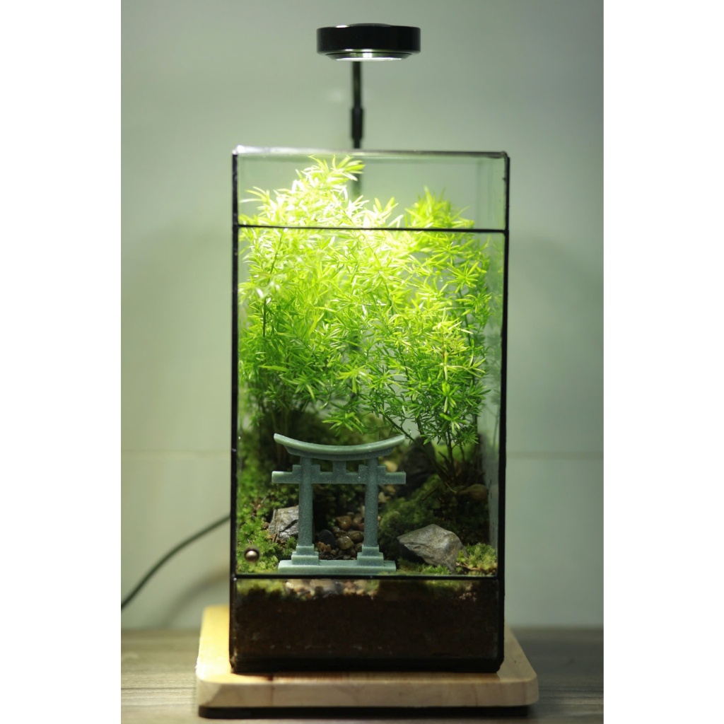 Bể terrarium rừng trúc Cổng Trời Torii 12x12x24cm | Shopee Việt Nam