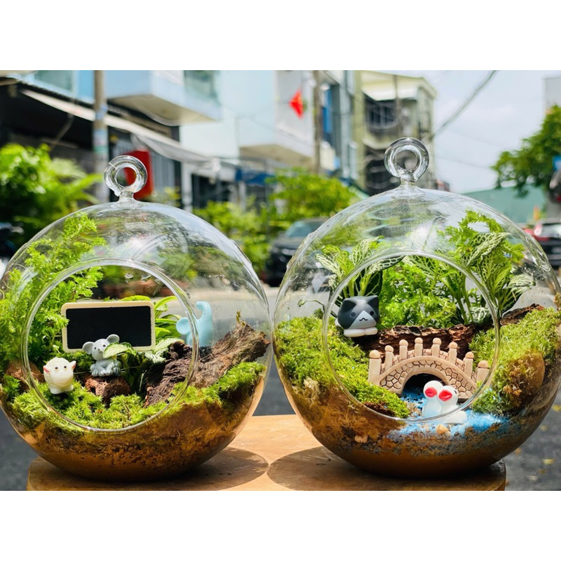 [HOẢ TỐC] Terrarium 12cm Để Bàn – Quà Tặng Sinh Nhật Cực Chill | Min ...