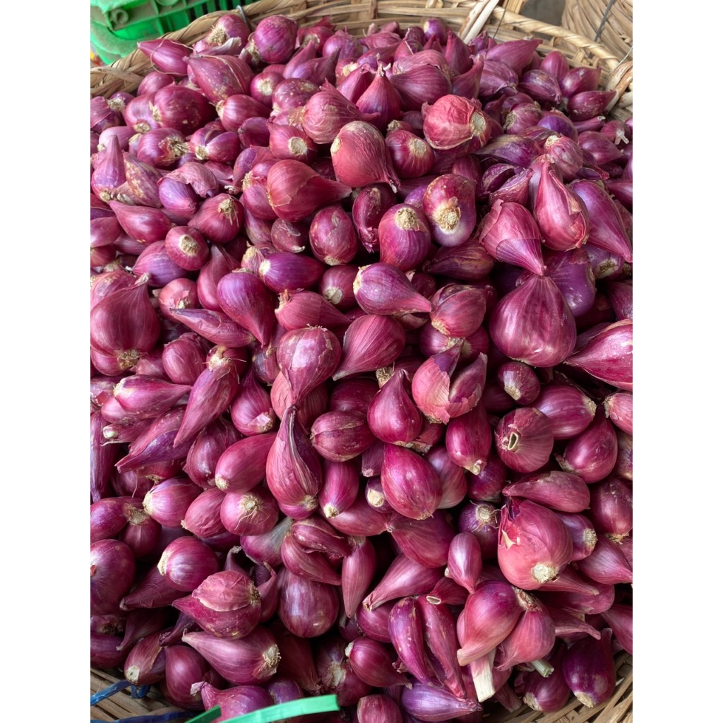 HÀNH TÍM PHAN RANG , HÀNH ĐẸP LỰA TỪNG CỦ | Shopee Việt Nam