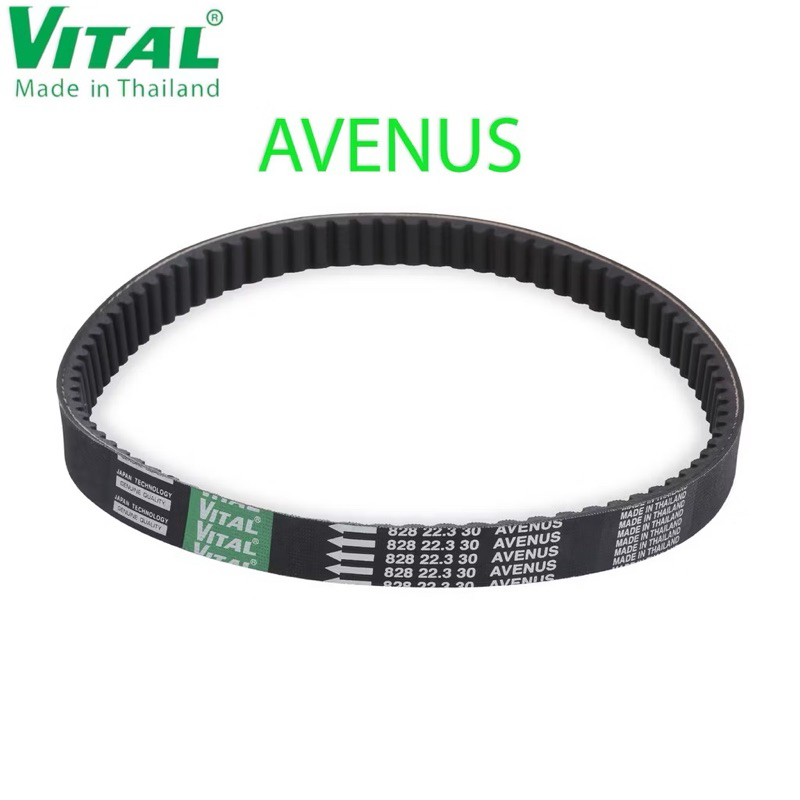 Dây curoa Avenus, Epicuro - Day curoa VITAL chính hãng Thái Lan chất ...