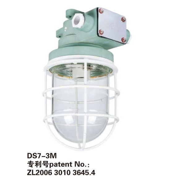 Đèn hành lang kín nước loại 100W - Resin Pendant Light 220V/100W | DS7 ...