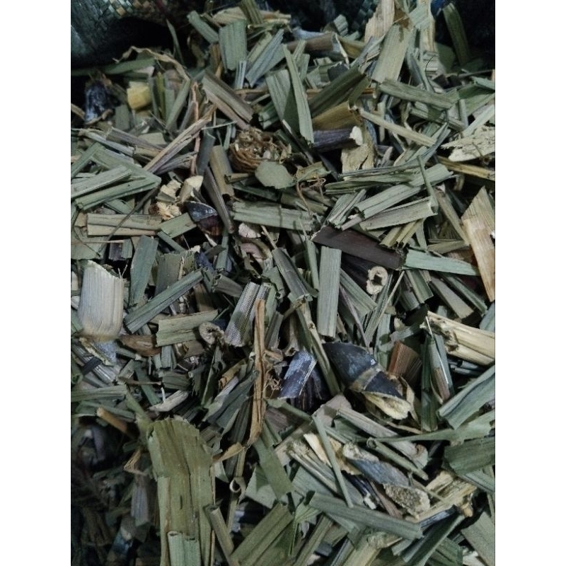 01kg mía tía, mía bách giải khô | Shopee Việt Nam