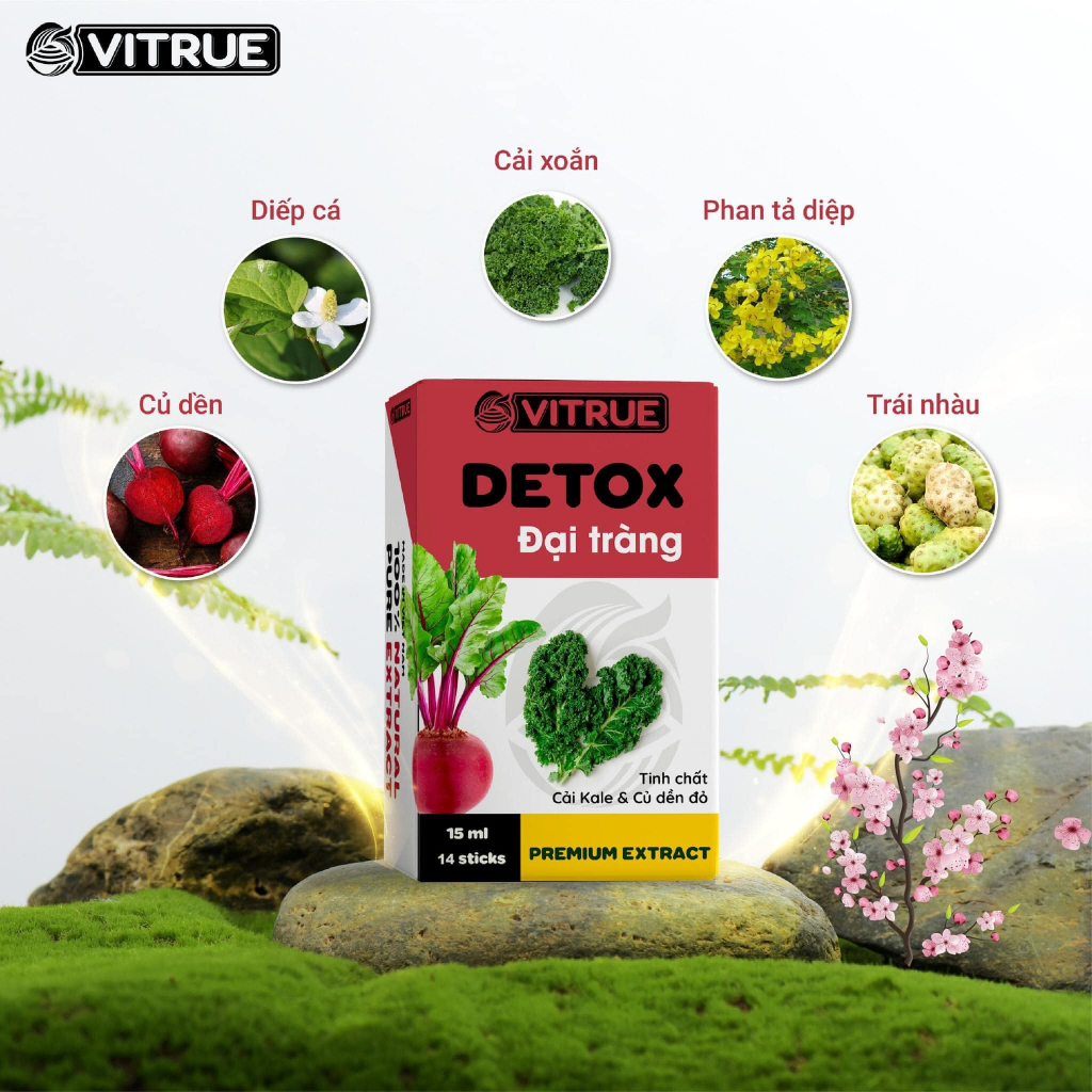 Vitrue detox đại tràng | Shopee Việt Nam