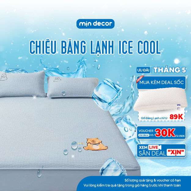 Chiếu Băng Lạnh Ice Cool Bo Chun Mịn Decor, Chiếu Mát Mùa Hè, Cố Định ...