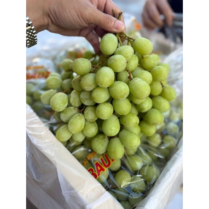 [Ship Hỏa Tốc HCM 1-2 giờ ]1kg Nho Xanh Peru giòn ngọt da xấu, cuống se | Shopee Việt Nam