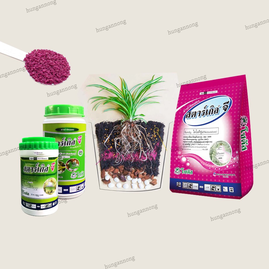Starkle-G Thailand tím lưu dẫn trừ các bọ 250g/1kg( xem trong mô tả ...