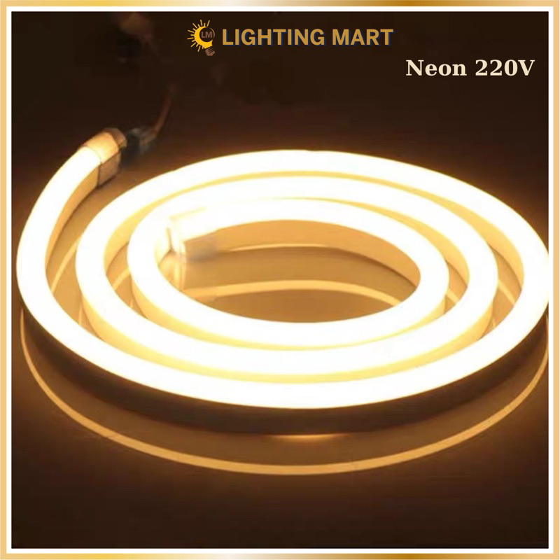 Combo 3M 5M 10M Dây Led Neon 220V (Đã gồm nguồn), dây Led chống nước ...