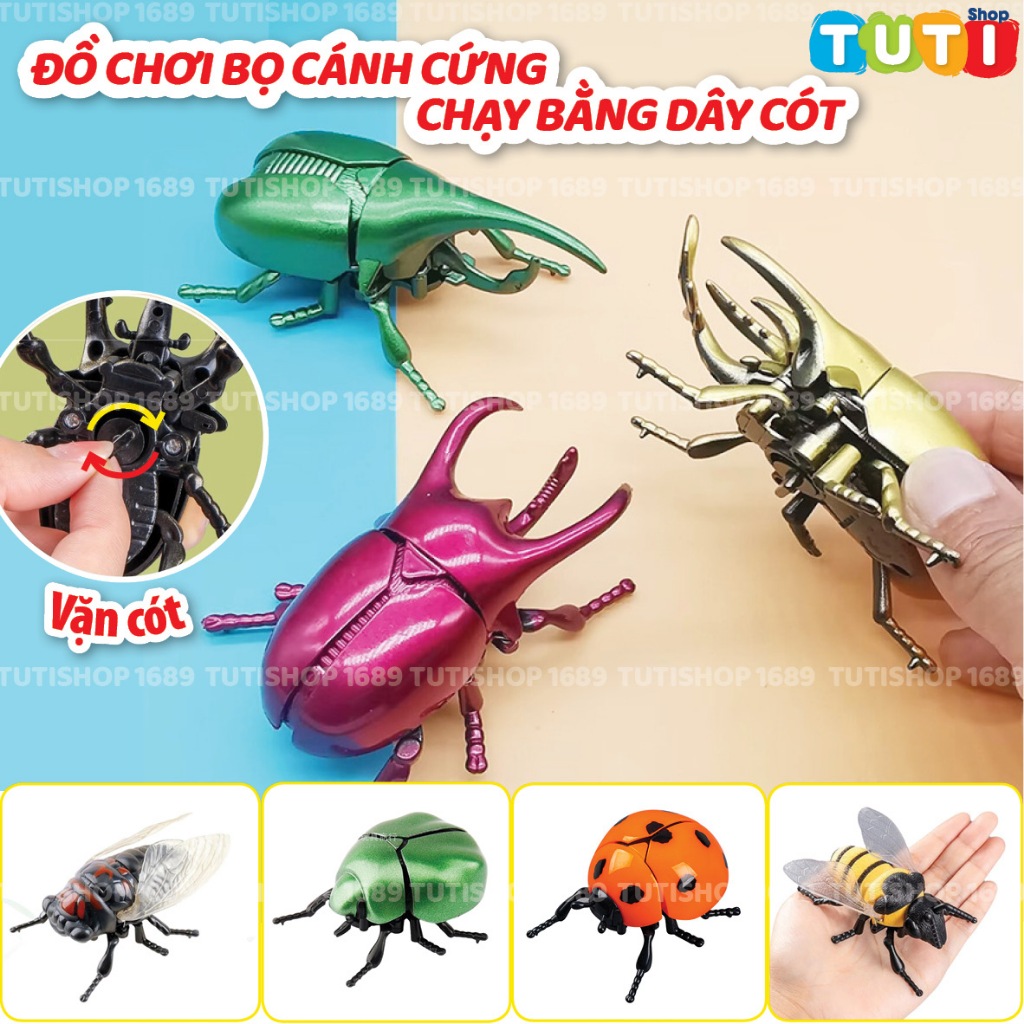 Đồ chơi mô hình côn trùng lên dây cót bọ cánh cứng, bọ rùa, bọ hung ...