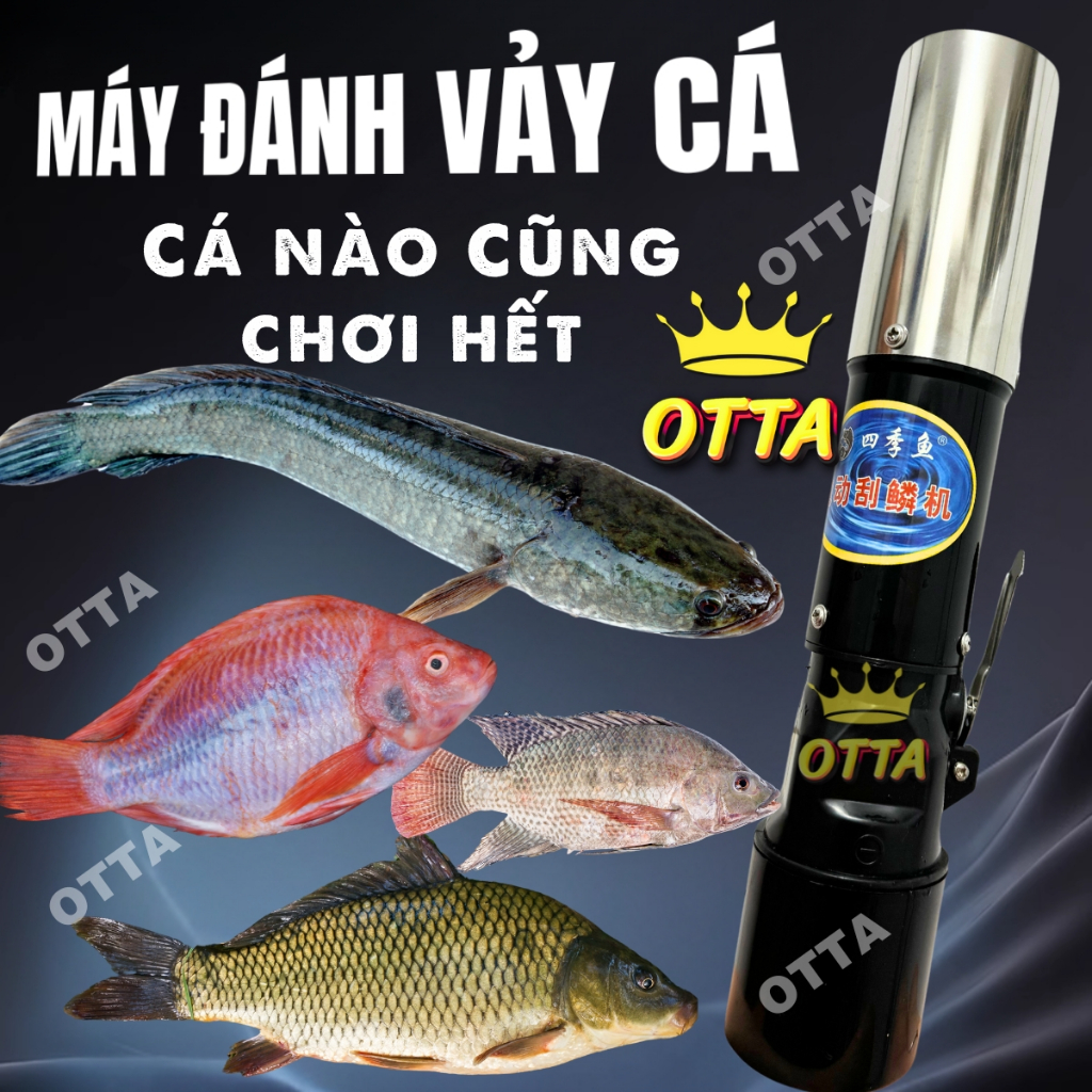 Máy Đánh Vảy Cá Lóc Cầm Tay Pin 3Cell Mới Nhất 2025 Thương Hiệu OTTA , Pin siêu bền | Shopee ...