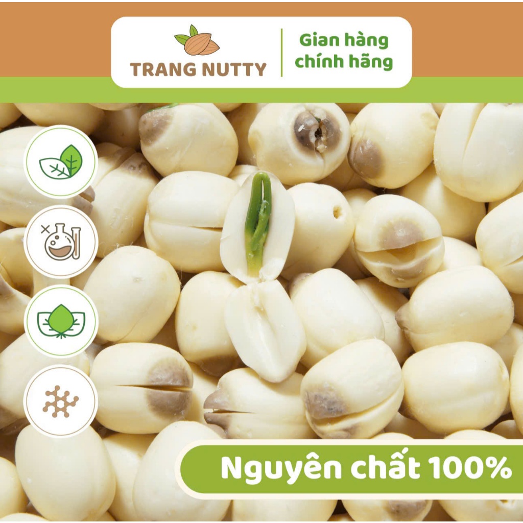 Hạt Sen Hữu Cơ Khô 1KG – Sen Huế Dùng Để Nấu Sữa, Chè, Bánh Ngon Chuẩn ...
