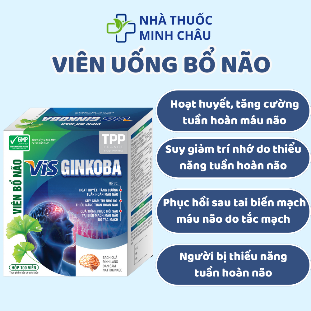 Viên bổ não VIS GINKOBA TPP- Hỗ trợ hoạt huyết tuần hoàn máu não, phục ...